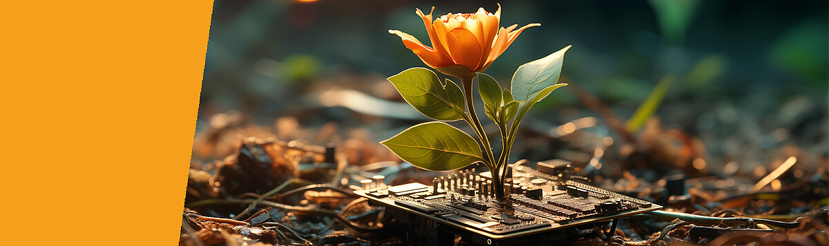 Formation continue : l’INSA Rennes lance son 1er module à la rentrée ...